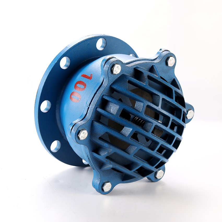 Spring Foot Valve - Buy Spring Foot Valve Product on Baoding Valvula ...